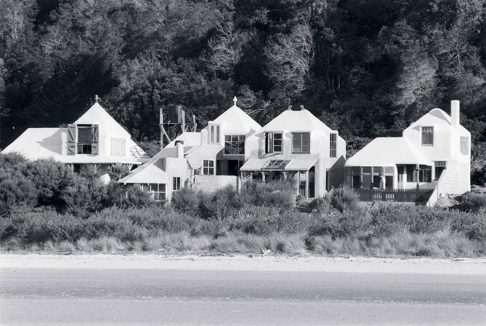 2004 Gold Medal: Ian Athfield